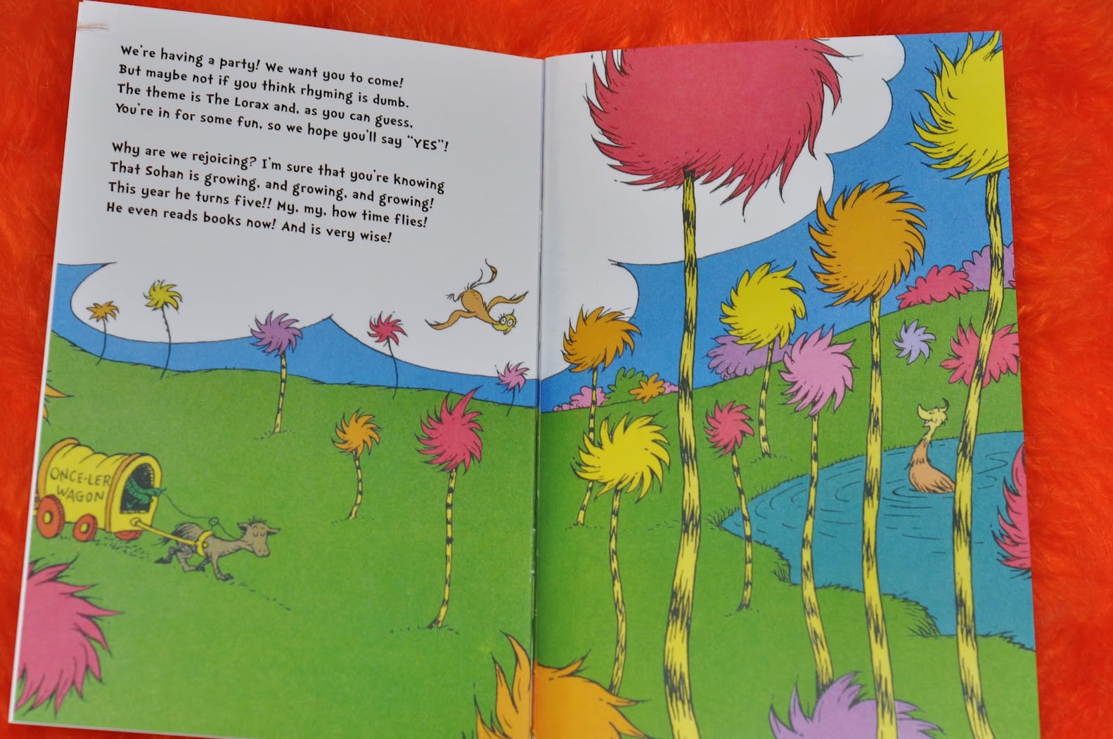 Lorax Birthday Party | PS Family