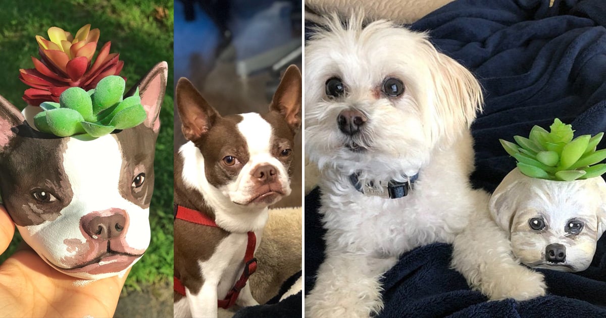 Get a Custom Painted Planter With Your Dog's Face on Etsy | PS Pets