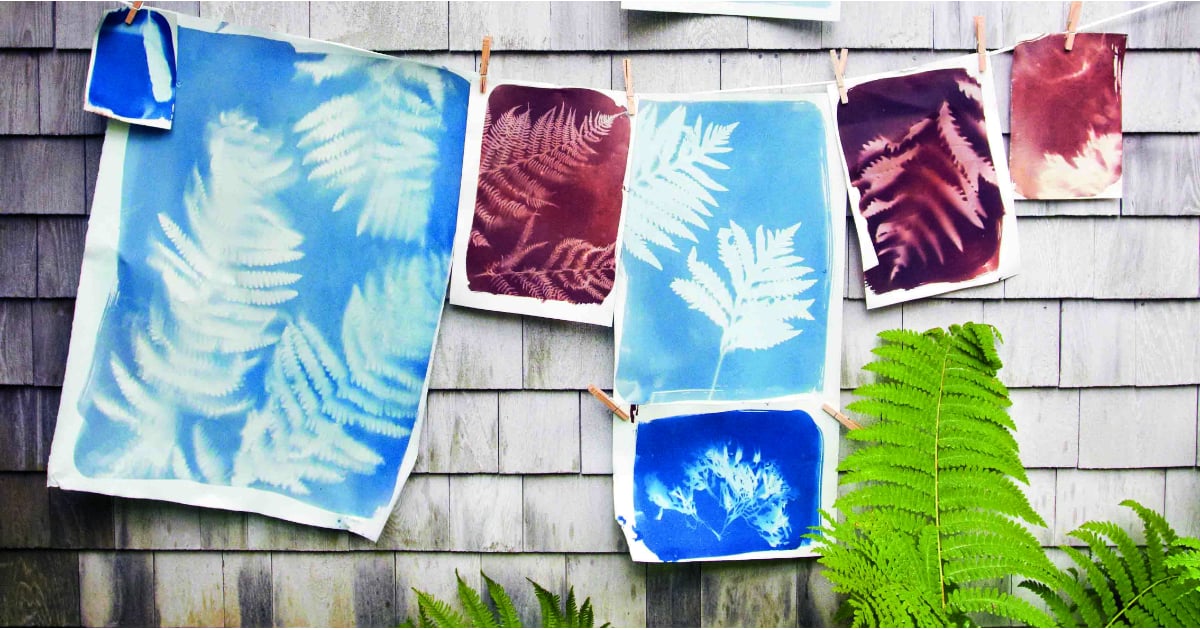 How to Make Sunprints | POPSUGAR Family