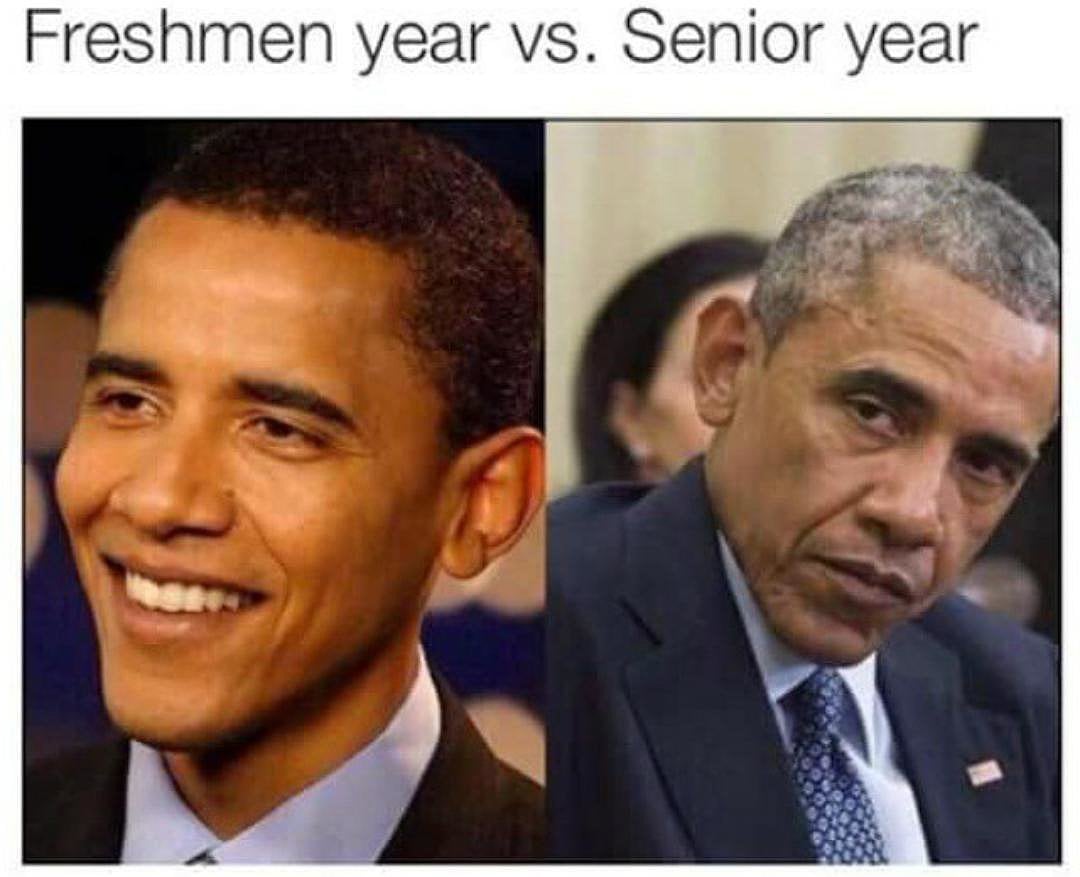 Graduation Memes | POPSUGAR Tech