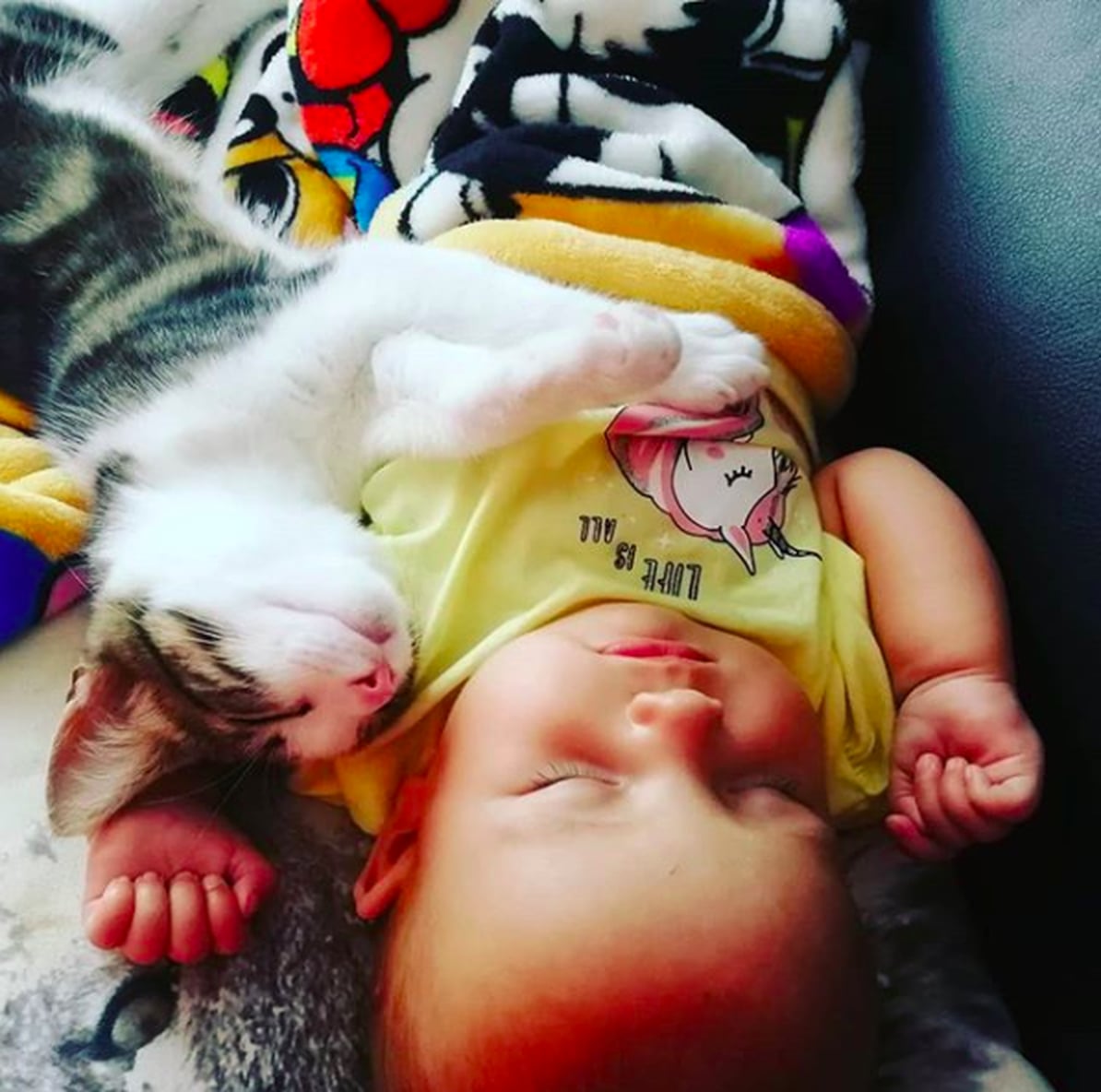 Photos of Babies and Cats | POPSUGAR Family