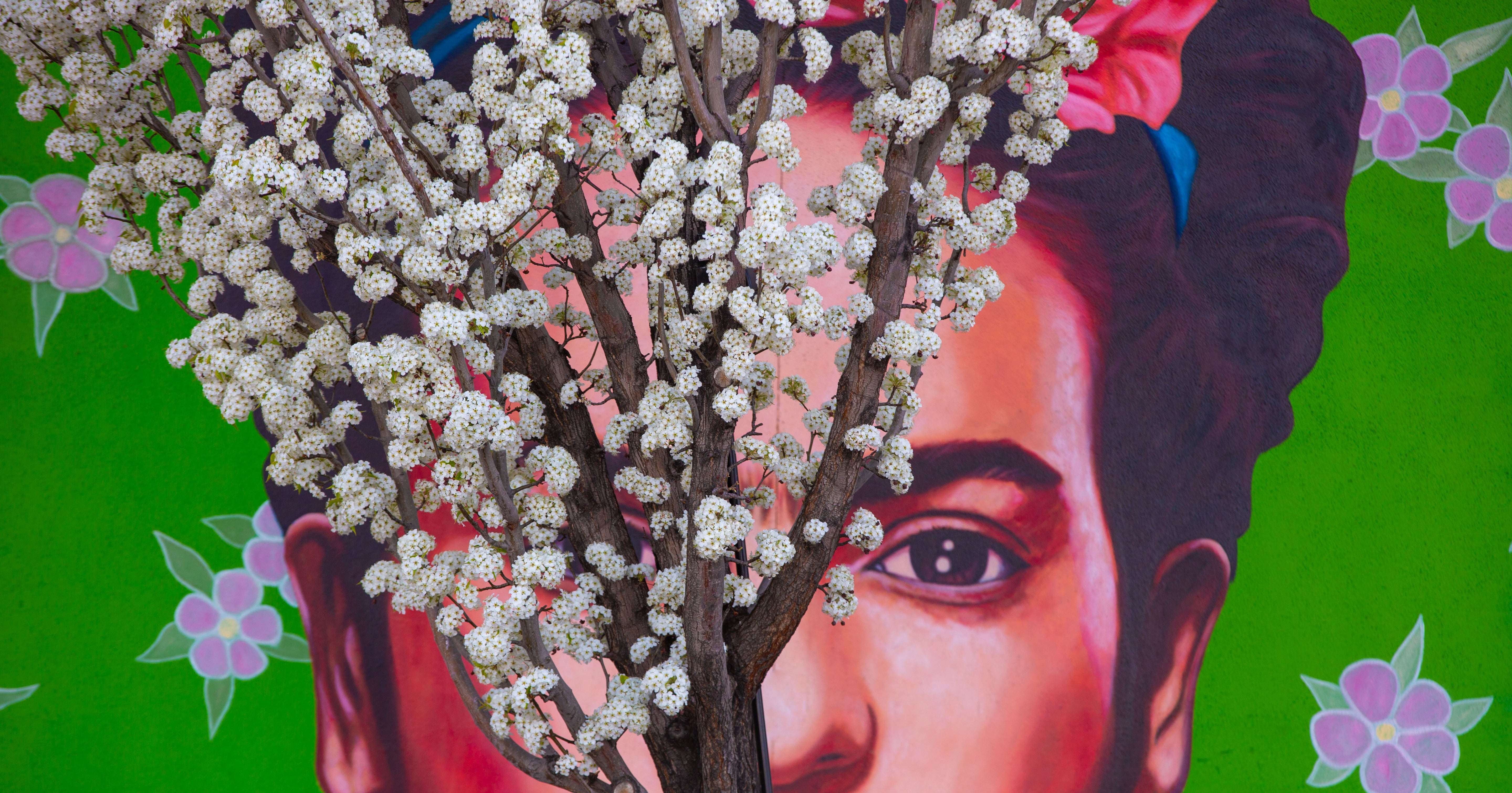 Frida Kahlo Makeup Tutorials | PS Latina