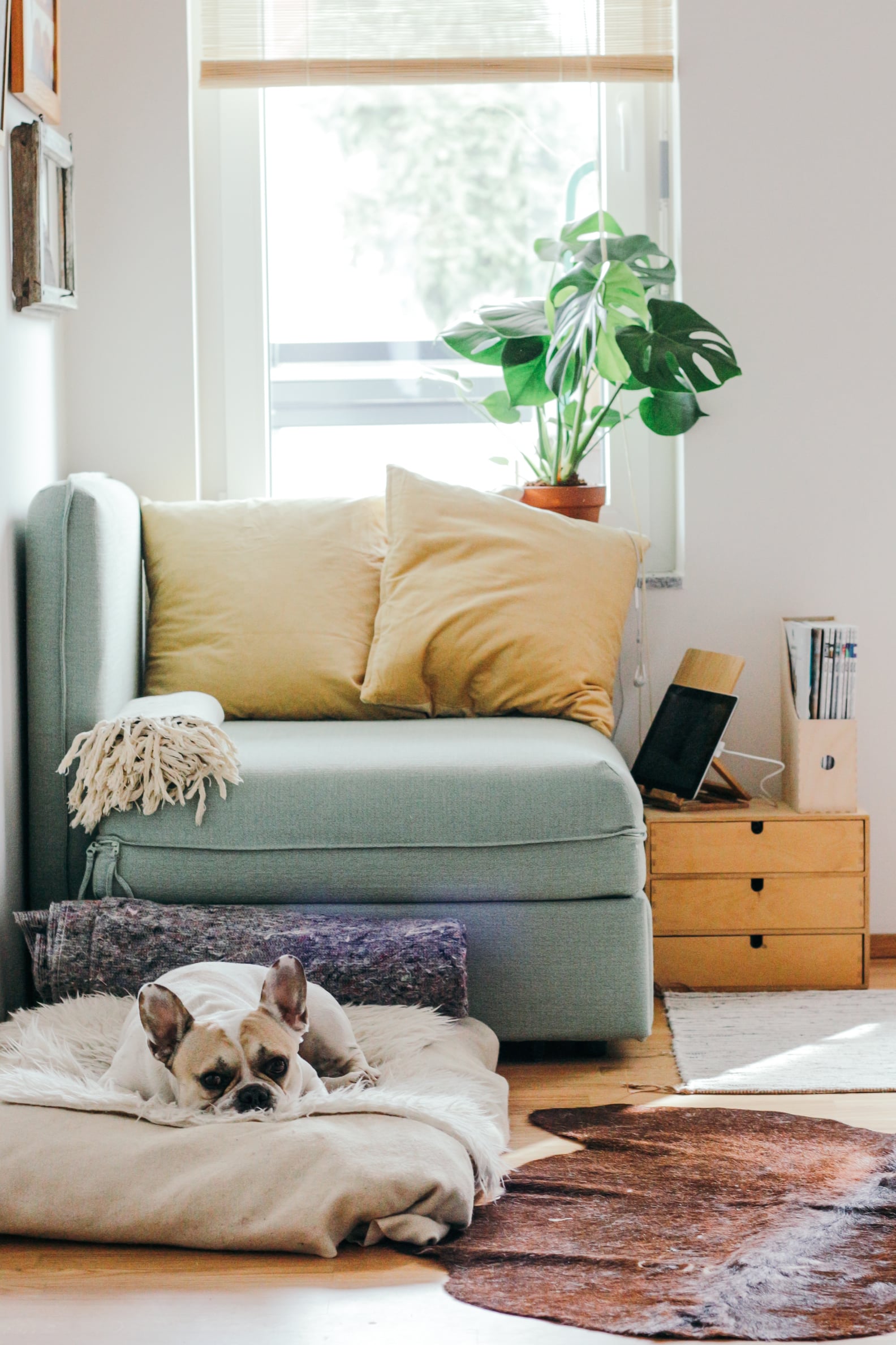 How to Reduce Dust in Your House | PS Home