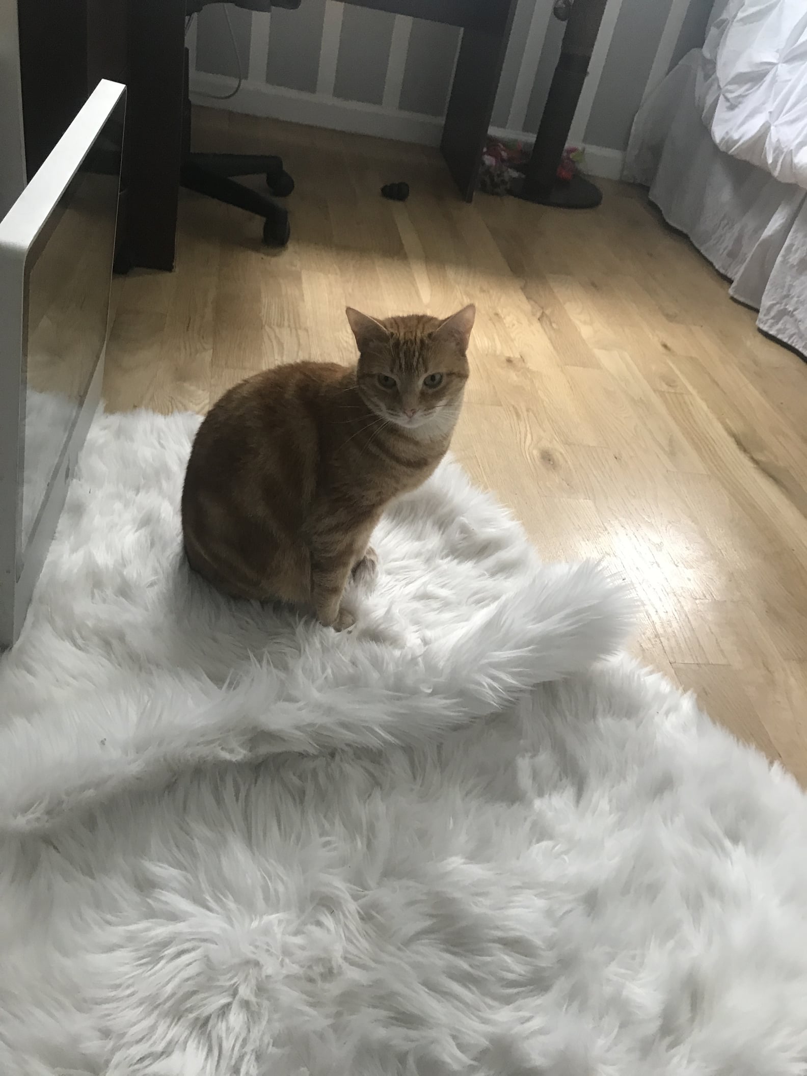 How to Keep Rugs From Slipping | POPSUGAR Family