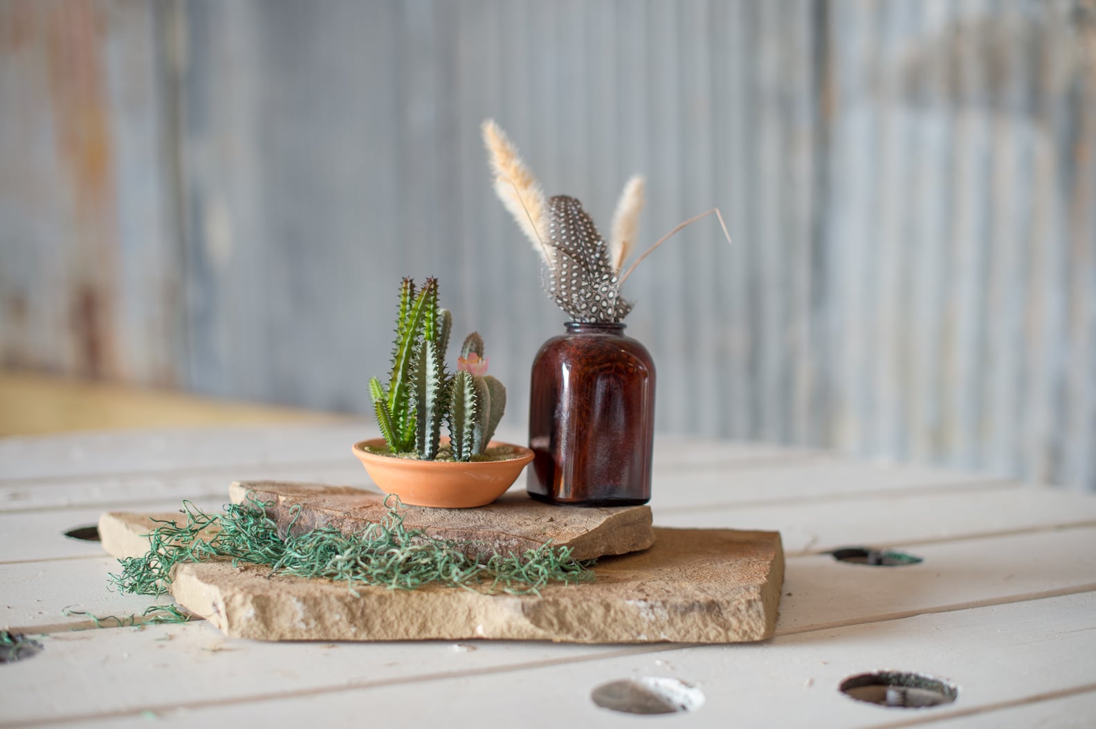 Cactus Baby Shower Ideas | PS Family