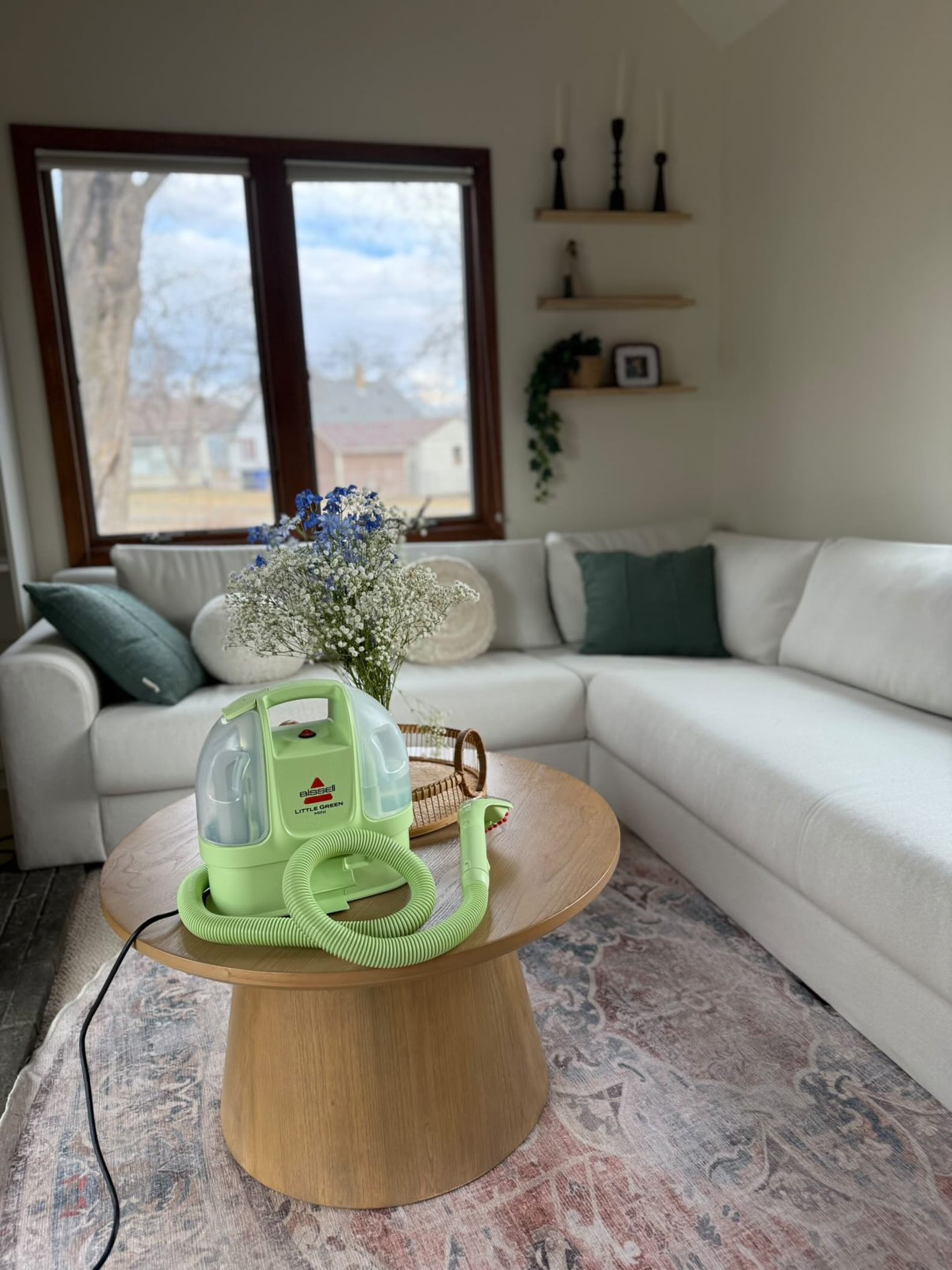 Bissell Little Green Mini Portable Carpet Cleaner Review | PS Home
