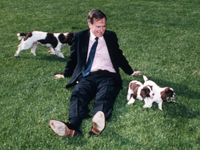 The Cutest Presidential Pets Through History | POPSUGAR Pets