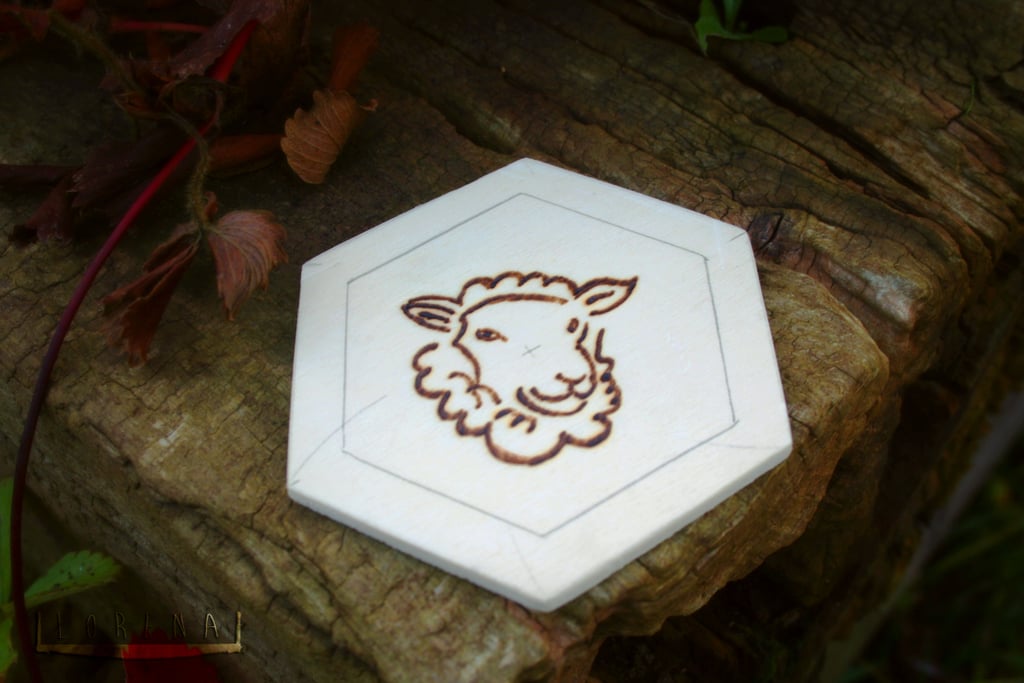 Settlers of Catan DIY | POPSUGAR Tech