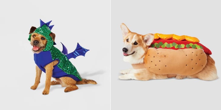 Best Dog Halloween Costumes at Target 2021 | POPSUGAR Pets