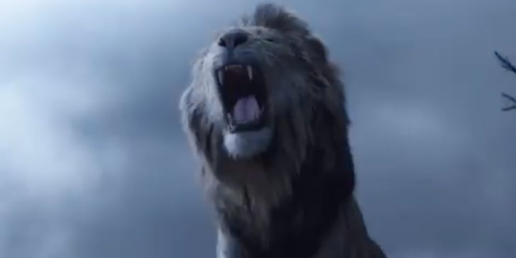 Simba and Scar in The Lion King Reboot Video | POPSUGAR Entertainment