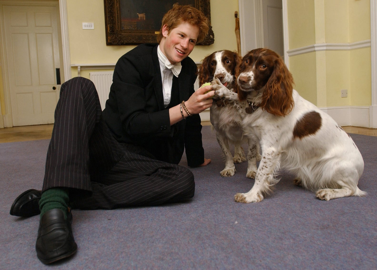 Prince Harry With Dogs Pictures | PS Celebrity