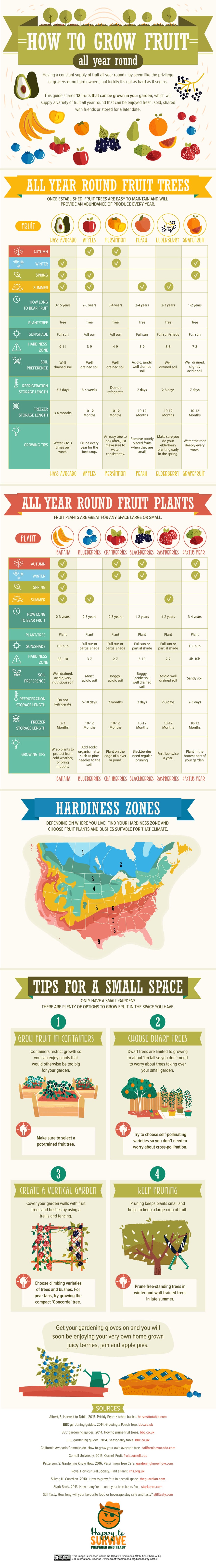 Fruit Gardening Guide | PS Food