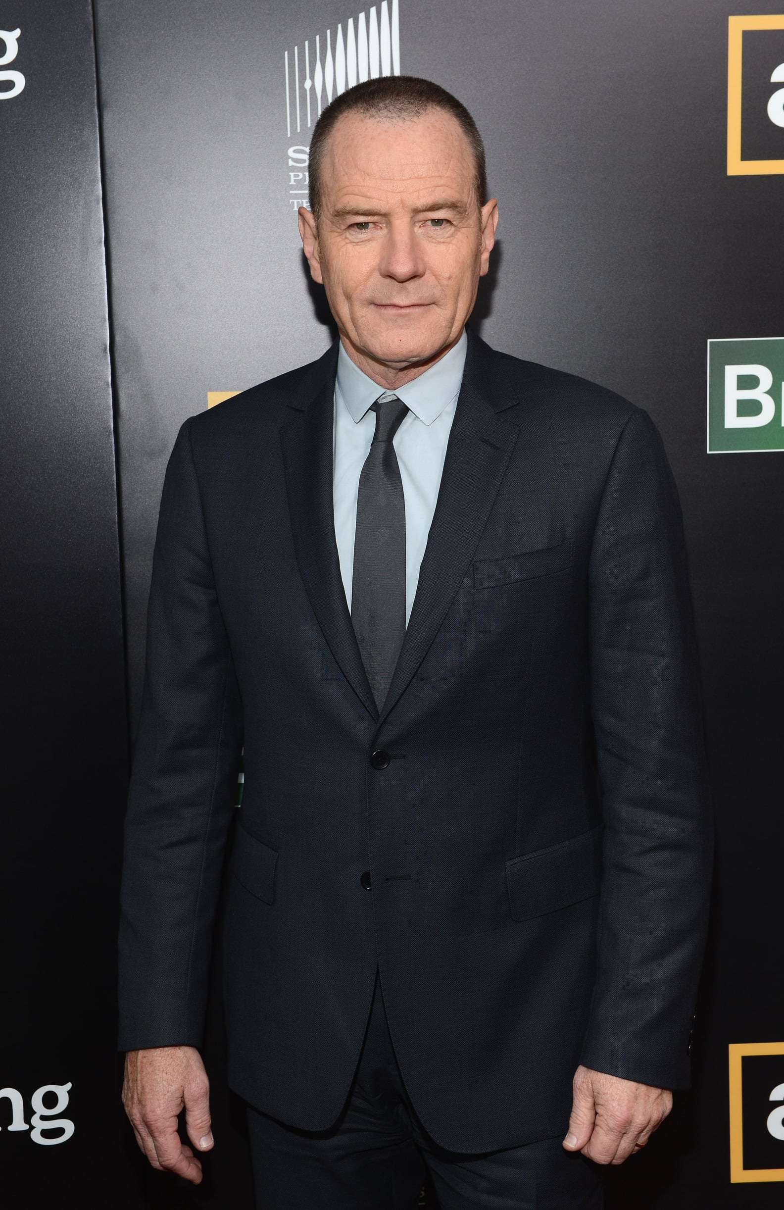 Breaking Bad Cast on the Red Carpet Over the Years Photos | PS Celebrity