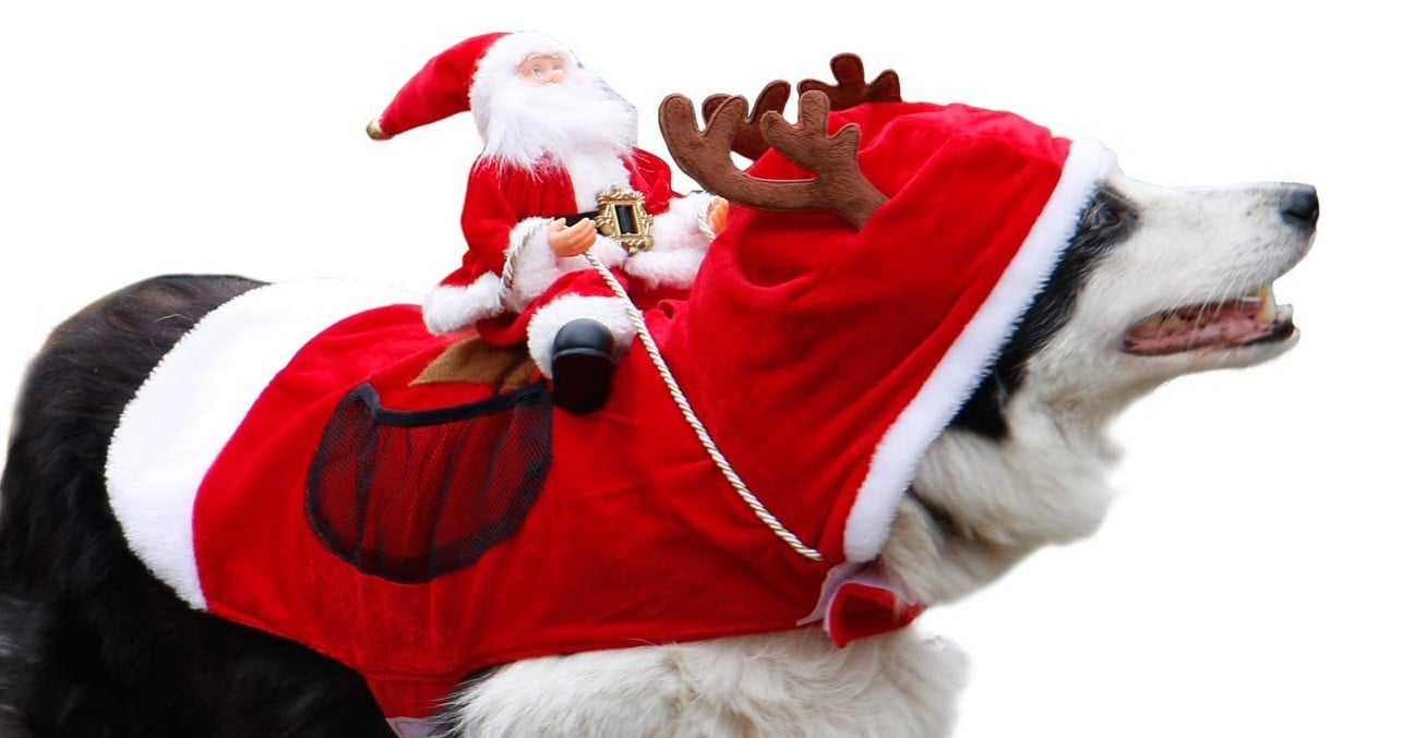 Santa Dog Costume | PS Family