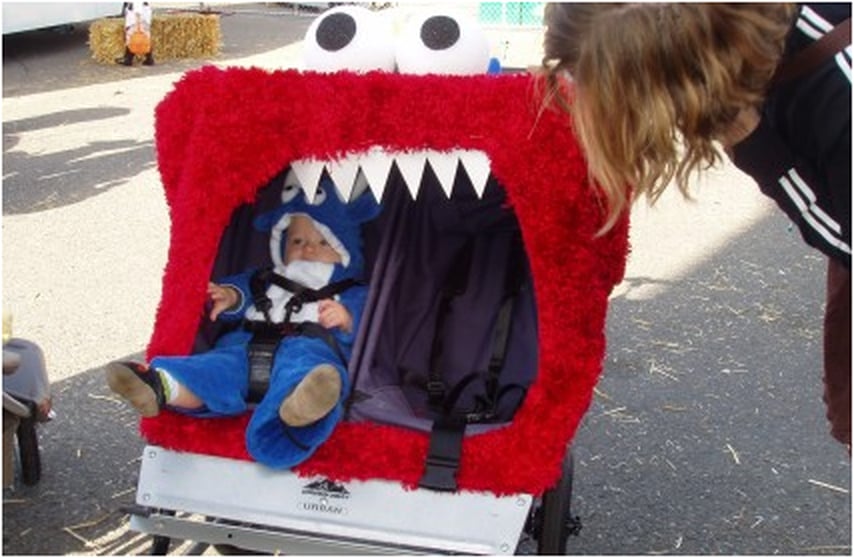 Stroller Costumes For Halloween | PS Family