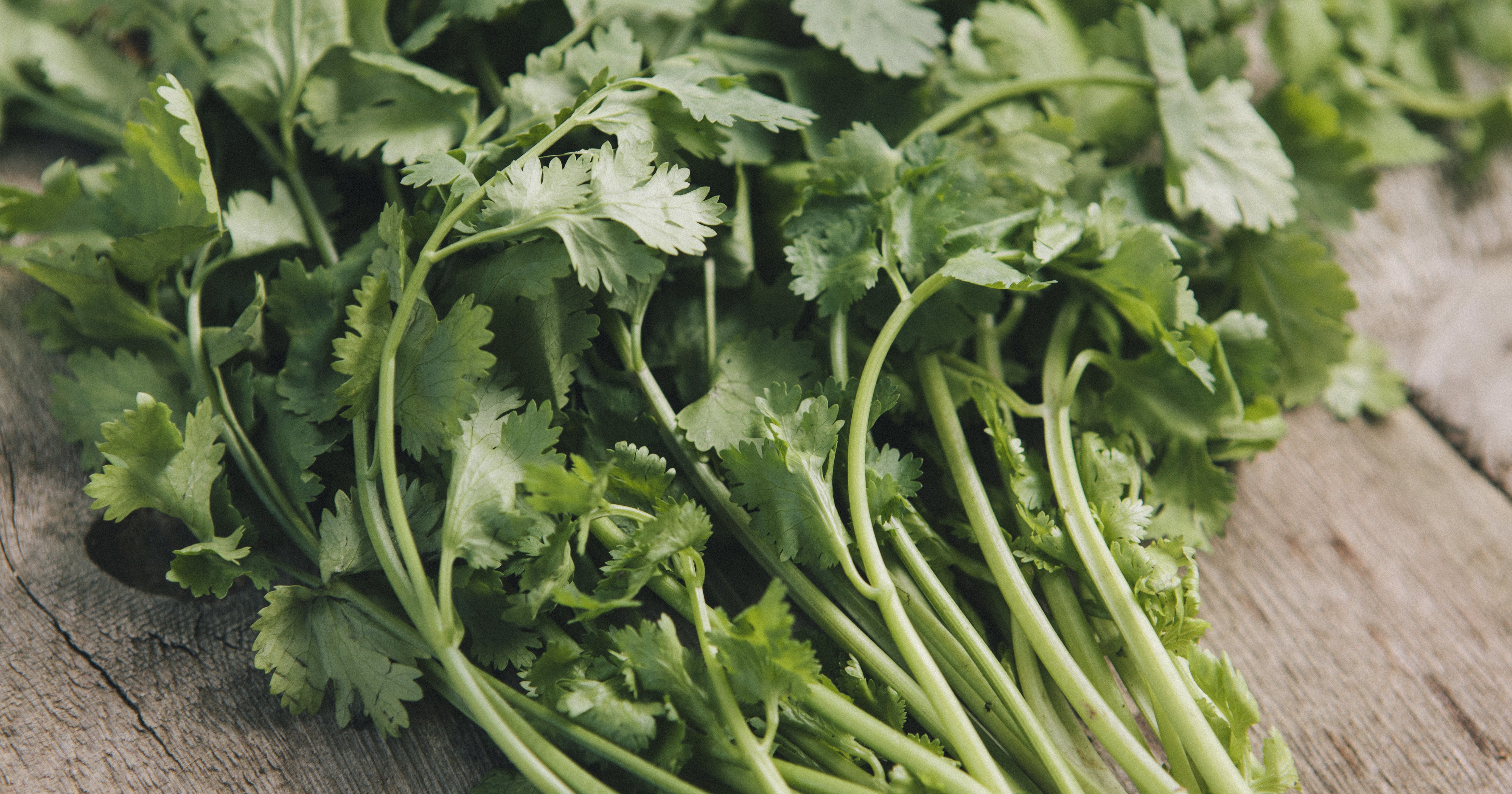 The Health Benefits of Cilantro | PS Fitness