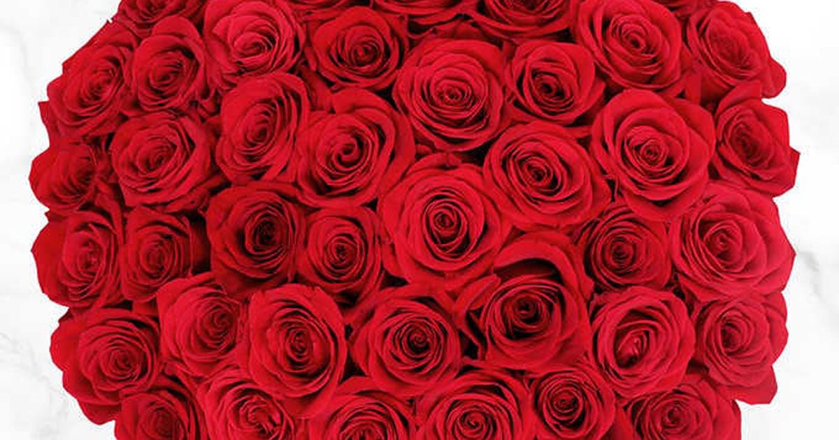 Costco Is Selling 50 Roses For Valentine's Day For $40! | PS Love