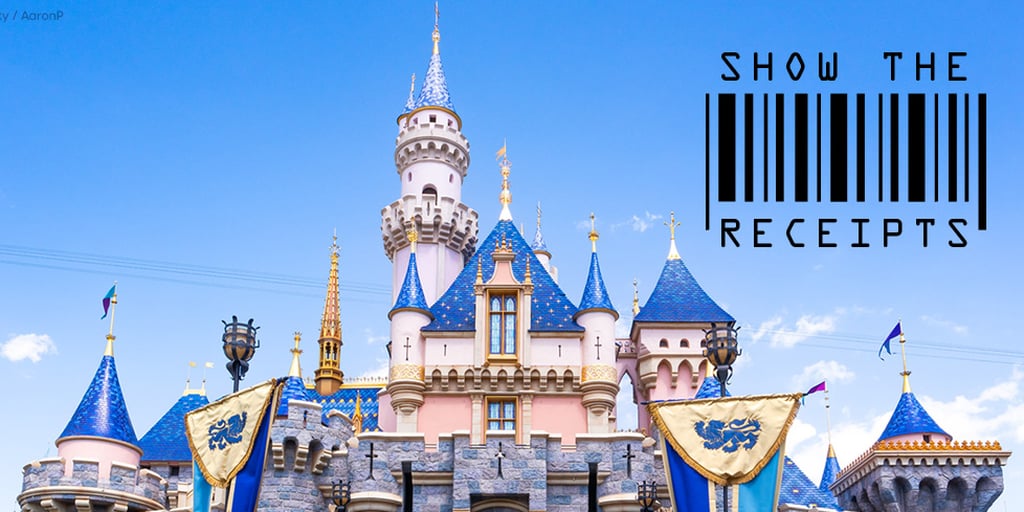 Cost of Being a Disney Adult: See the Receipts | PS Hobbies