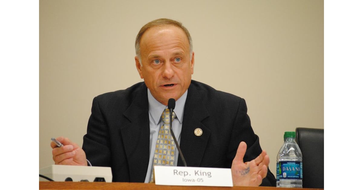 Congressman Steve King Comments About Race | POPSUGAR News