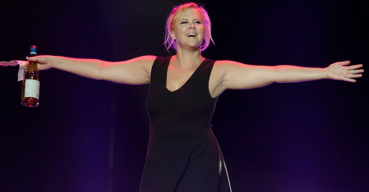 Amy Schumer's Funniest Tweets | PS Celebrity