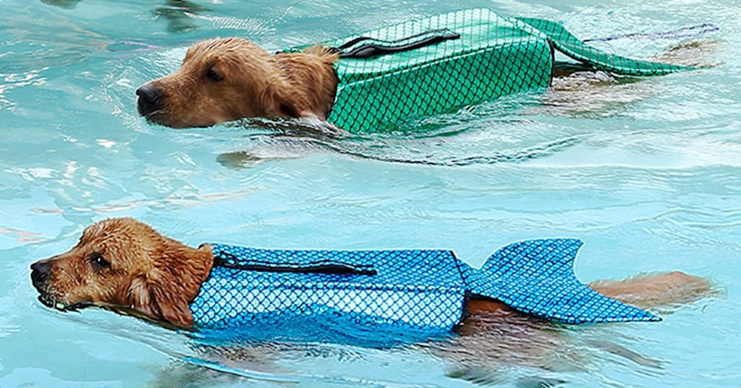 Shop These Mermaid Life Jackets For Dogs | PS Family