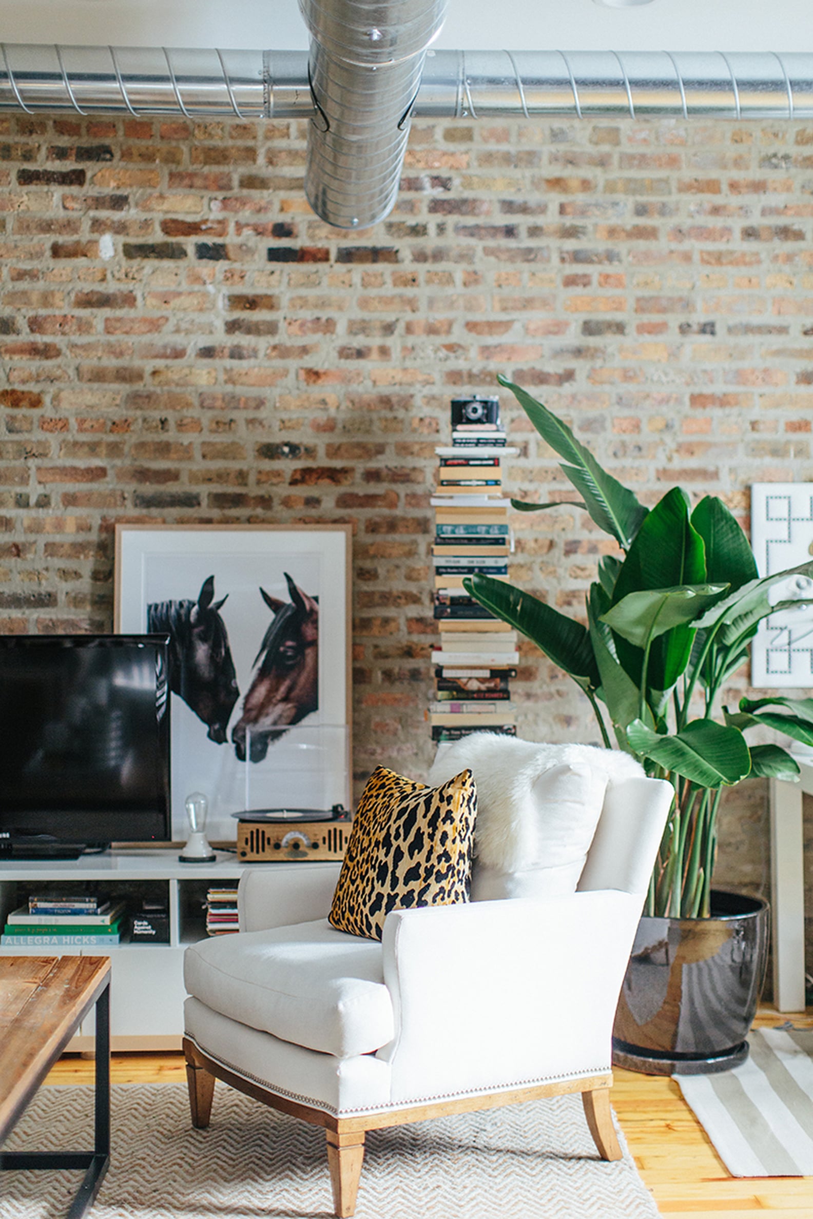 How to Decorate With Roommates | PS Home