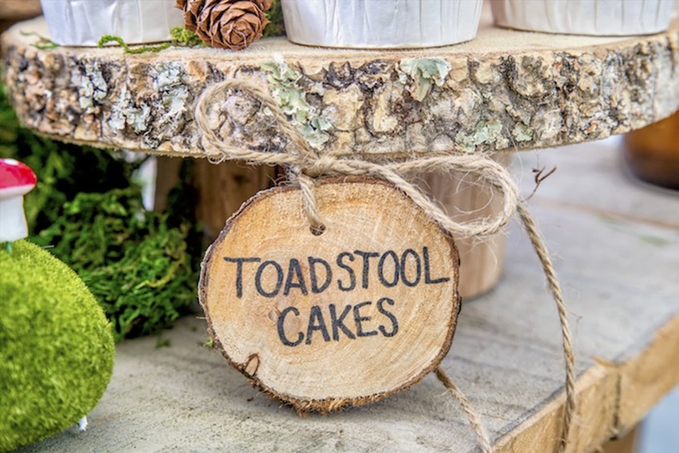 Wilderness-Themed Birthday Party | PS Family