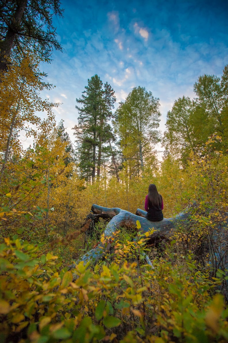 Pictures of Nature in the Fall | PS Smart Living