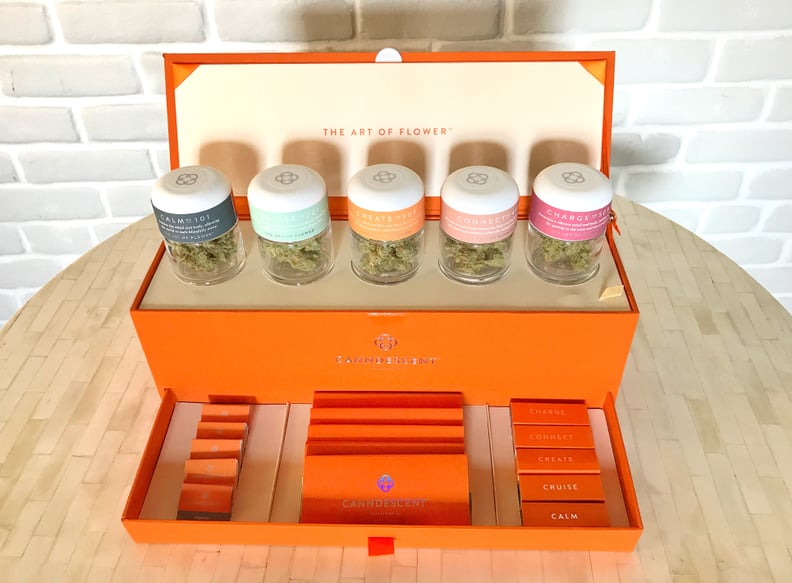 Canndescent Luxury Cannabis Company Review | PS News