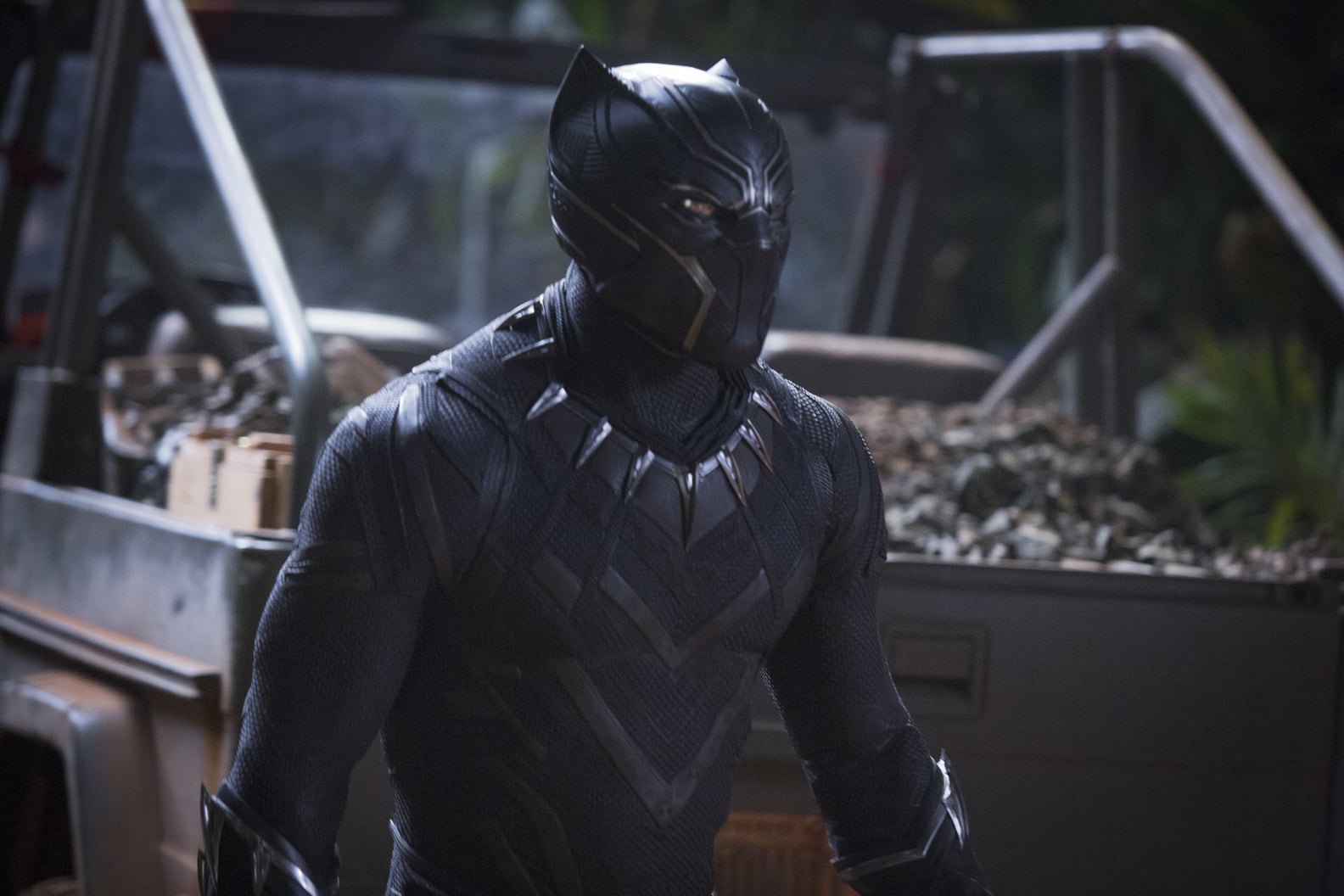 Which Black Panther Characters Are in Other Marvel Movies? | PS ...