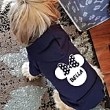 Warm and Cozy Disney Sweaters For Dogs | POPSUGAR Pets