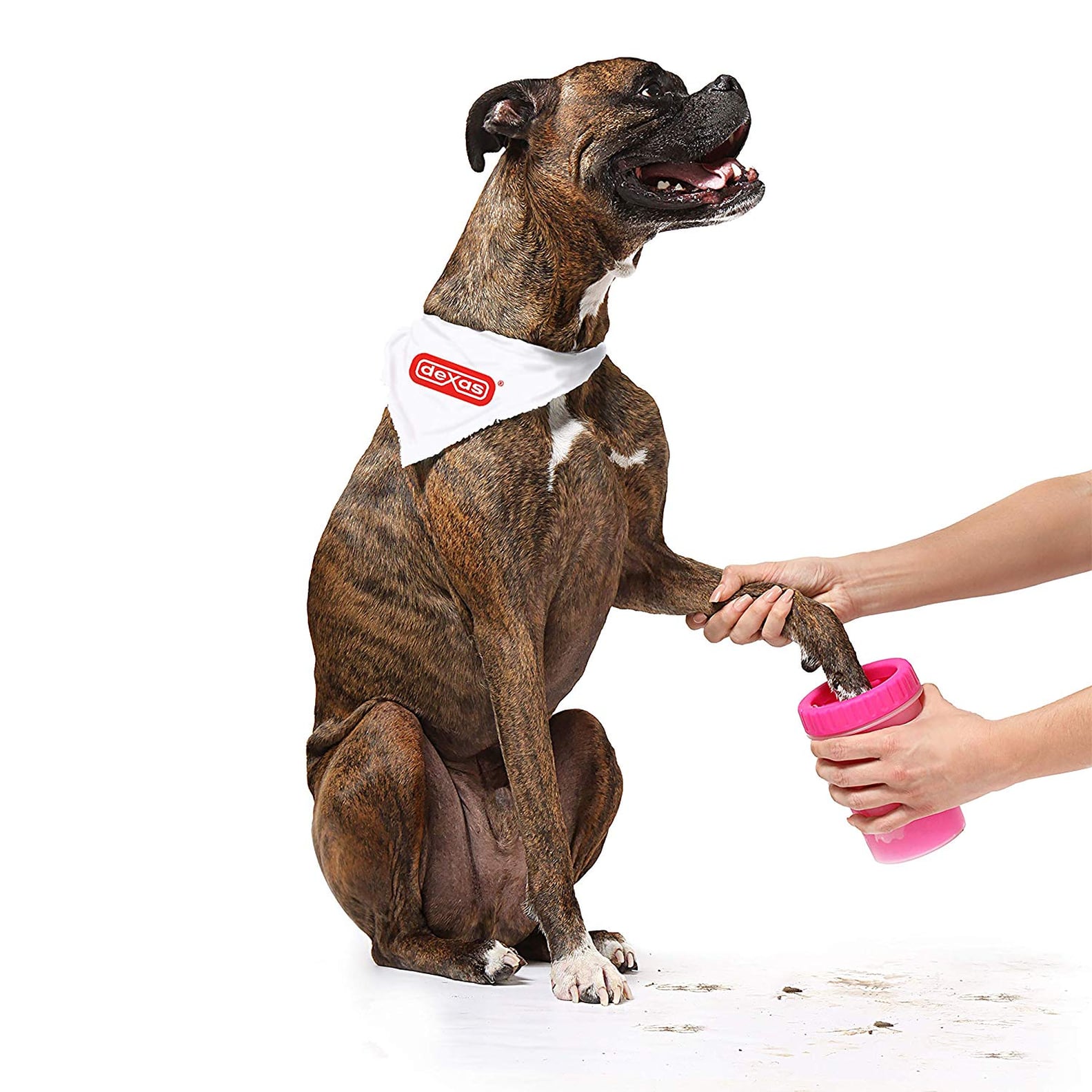 Dexas Mudbuster Portable Dog Paw Cleaner | PS Family