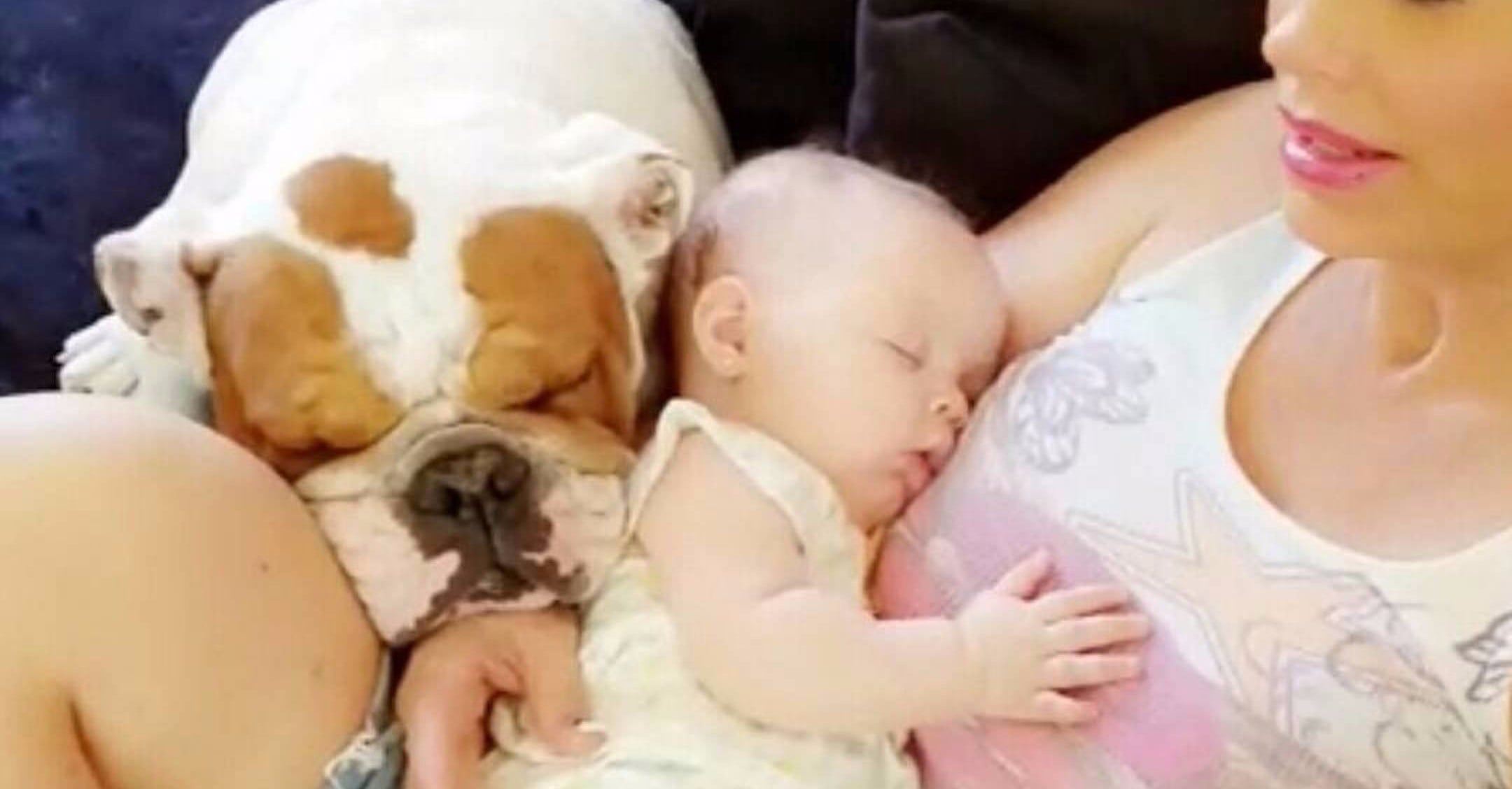 Coco Austin and Ice-T's Dog Spartacus Dies | POPSUGAR Celebrity