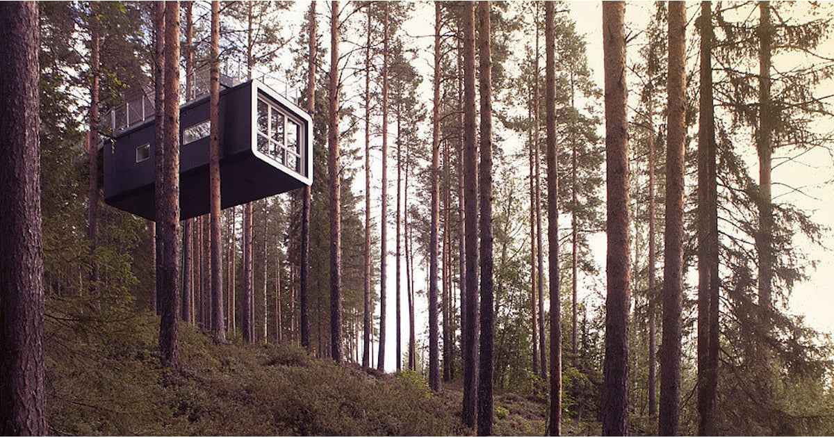 Coolest Tree Houses | POPSUGAR Smart Living