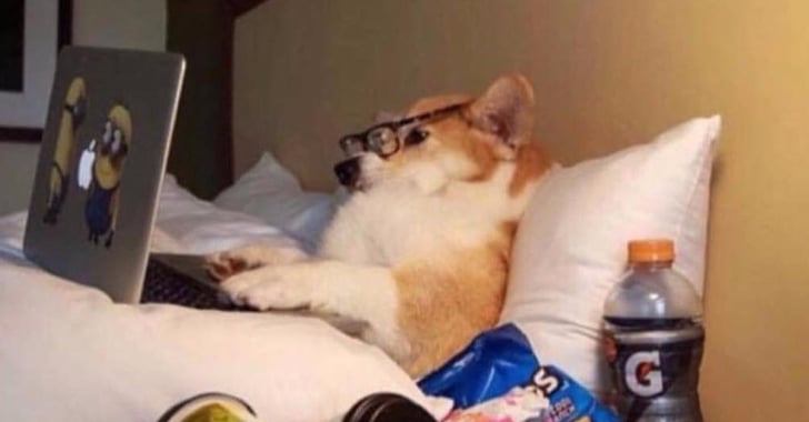 Memes About Staying In | POPSUGAR Smart Living