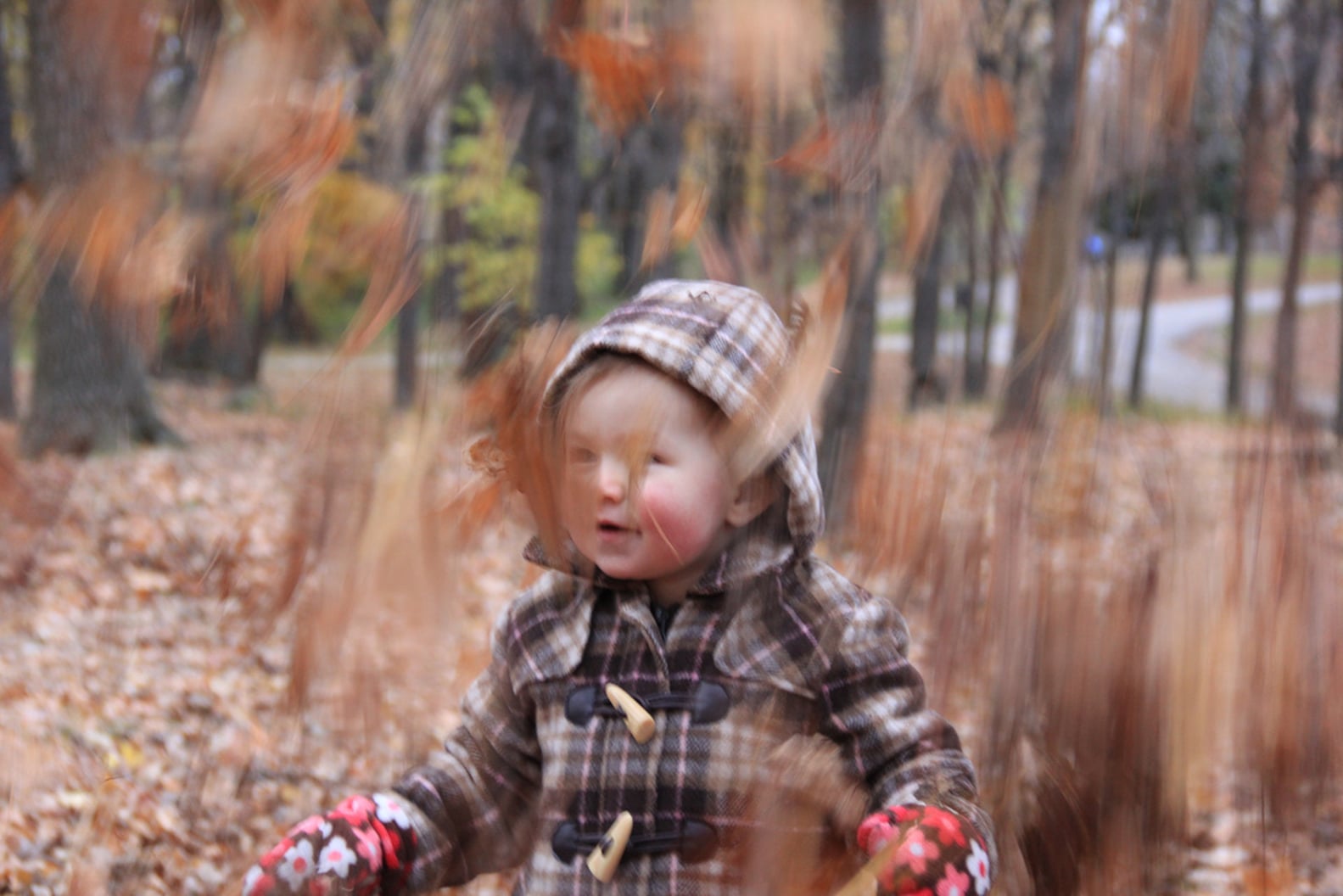 Fall Leaves Kid Photo Inspiration | PS Family