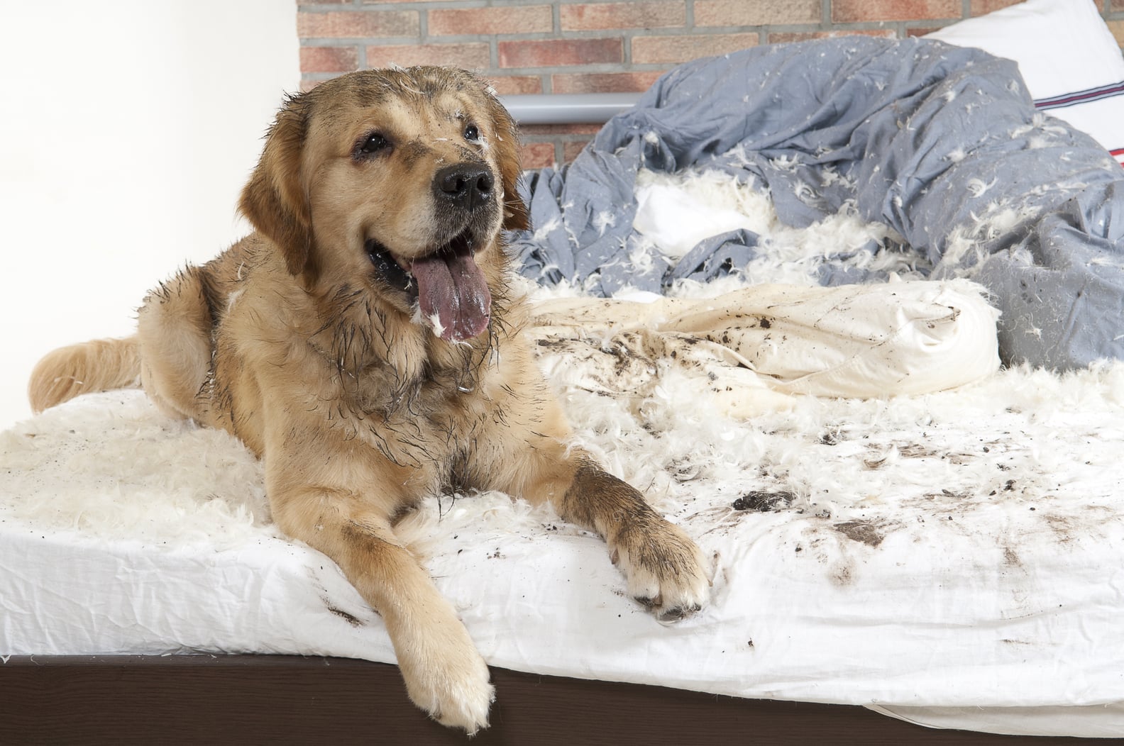 Pictures That Would Make Clean Freaks Cringe | PS Smart Living
