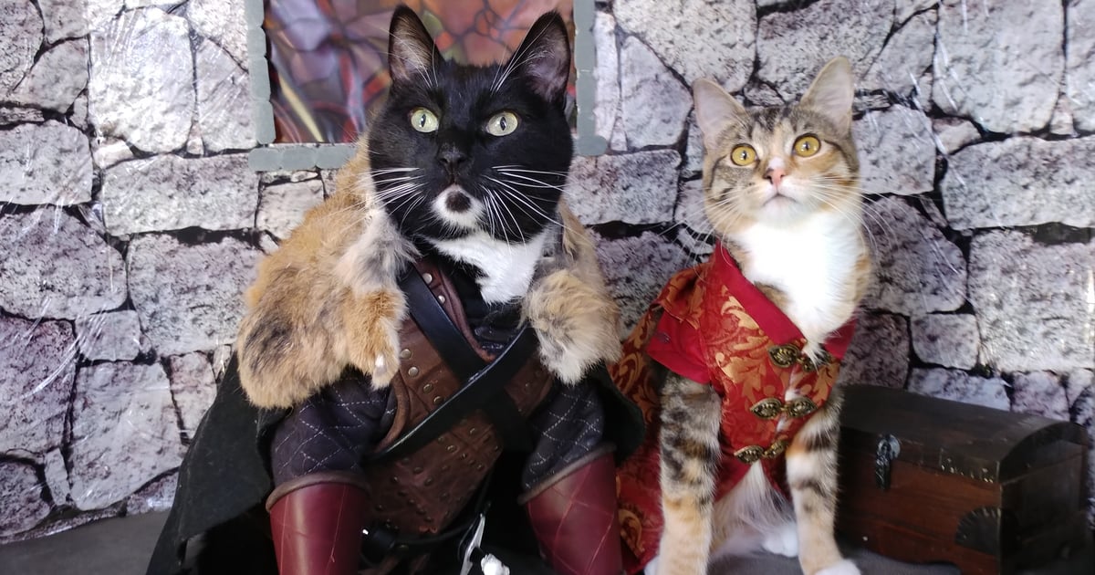 Cats Cosplaying as Famous TV and Movie Characters Photos | POPSUGAR Pets
