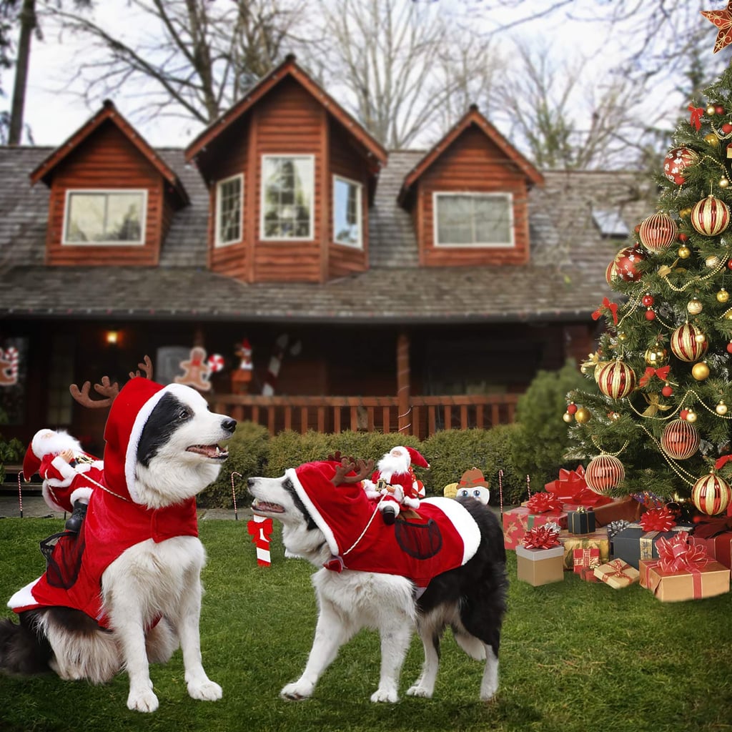 Santa Dog Costume | POPSUGAR Family