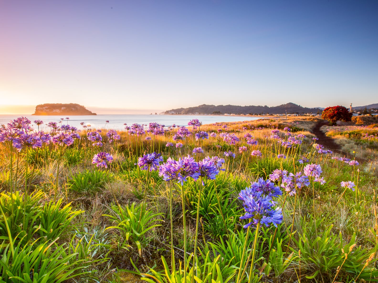 30+ Pretty Photos of Spring to Remind You That It's Coming! | PS Smart ...