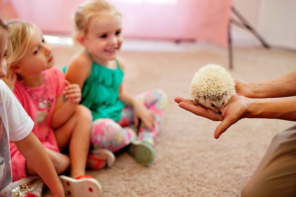 Wacky and Wild Birthday Party Ideas | POPSUGAR Family