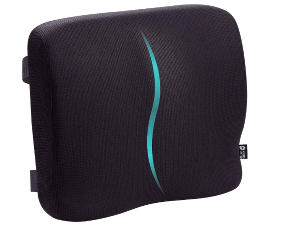 5 Low-Back Pillows to Ease Your Workday Pain | PS Fitness