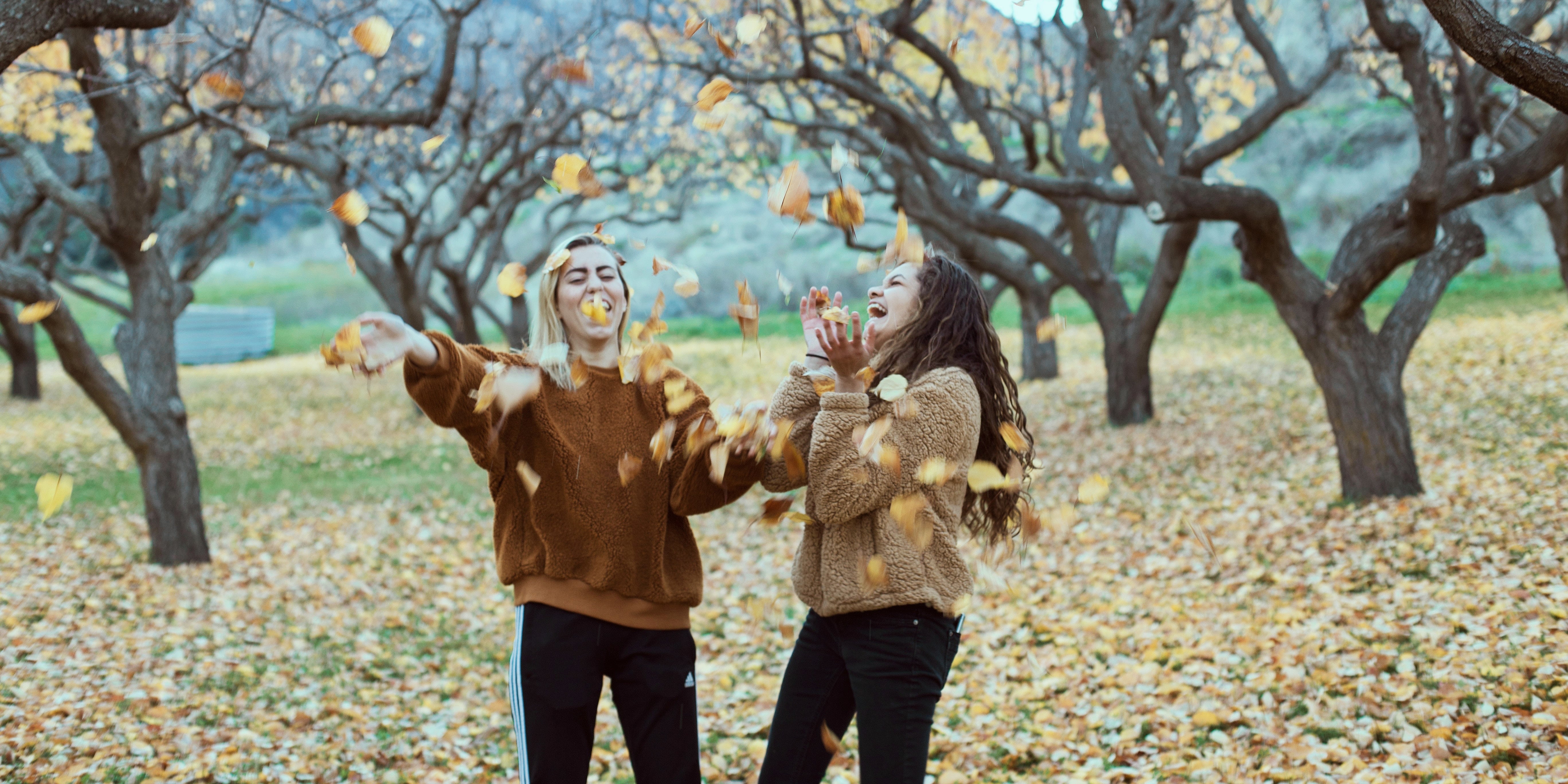 Best Fall Activities For Zodiac Signs | PS Smart Living