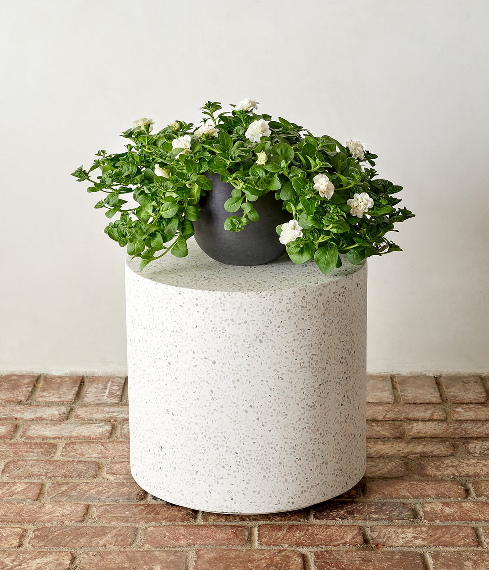 Bloomscape Outdoor Plant Launch | PS Home