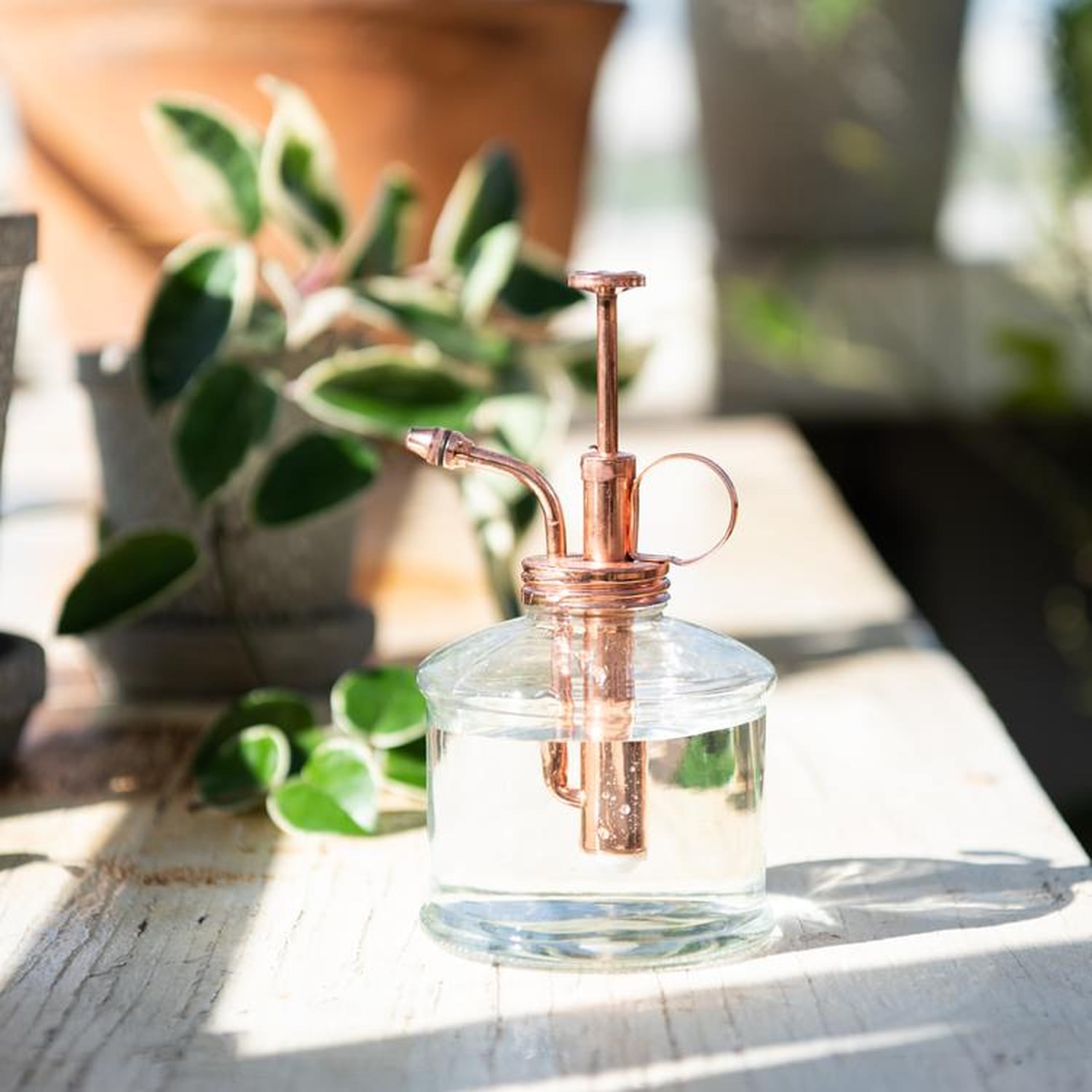 Check Out Magnolia's New Summer 2020 Collection! | PS Home