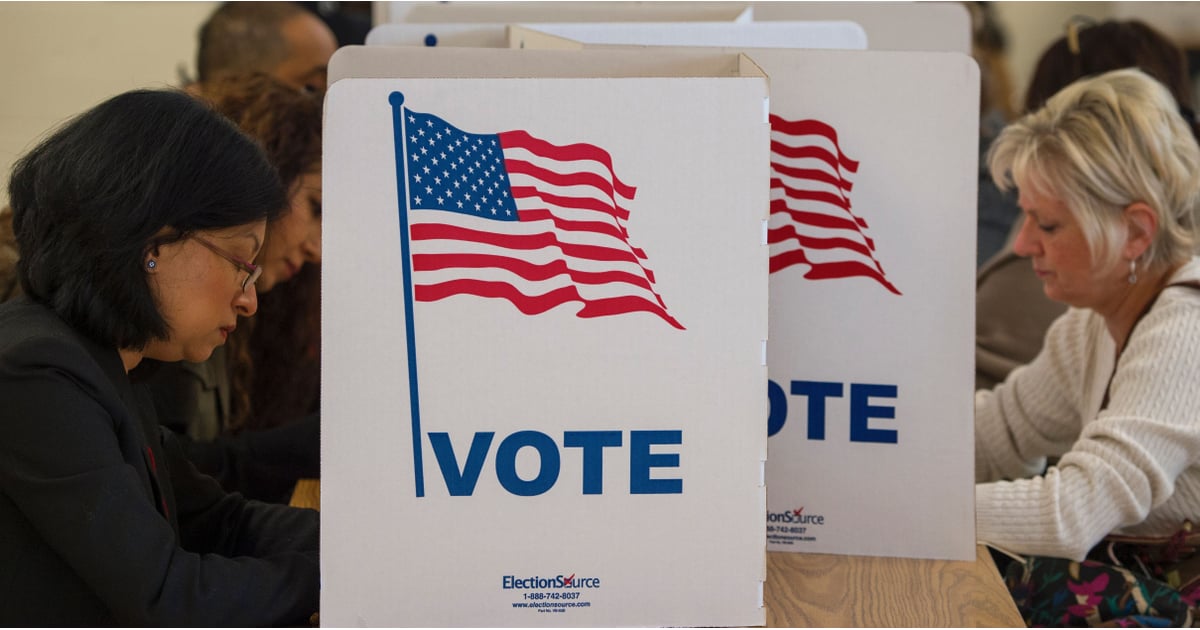 Record Voter Turnout Election 2016 | POPSUGAR News