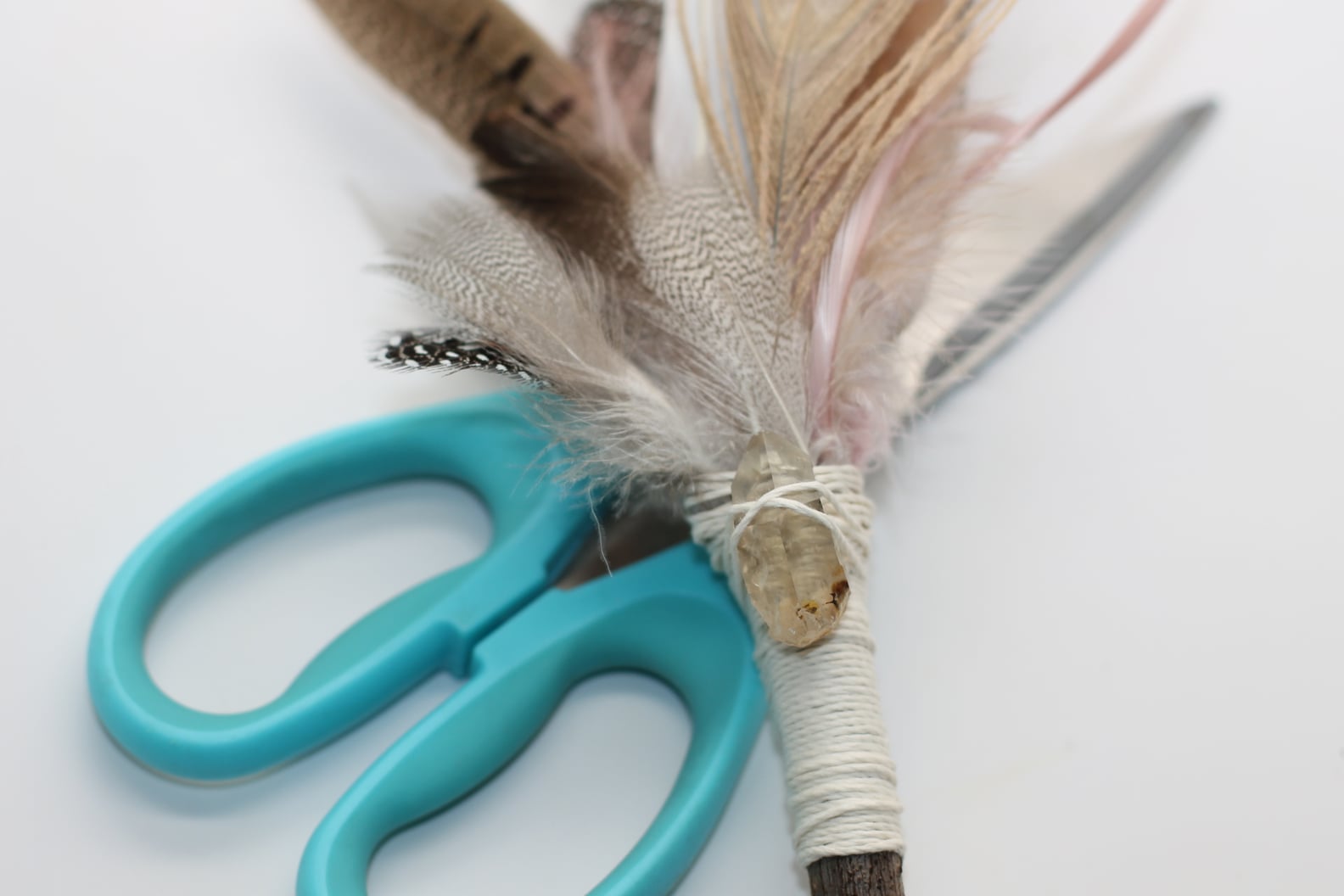 How to Sage Your Home | PS Home