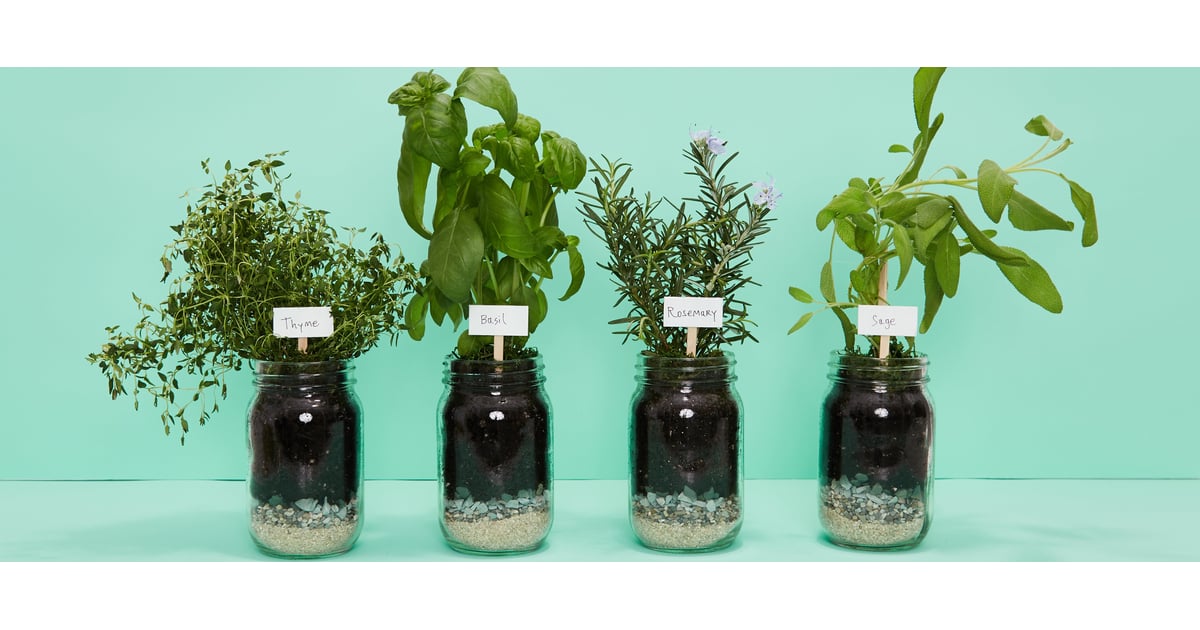 How to Bring Nature Indoors | POPSUGAR Home