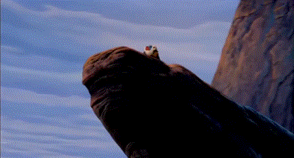 The circle of life . . . finds a new way. | Funniest GIFs Ever ...