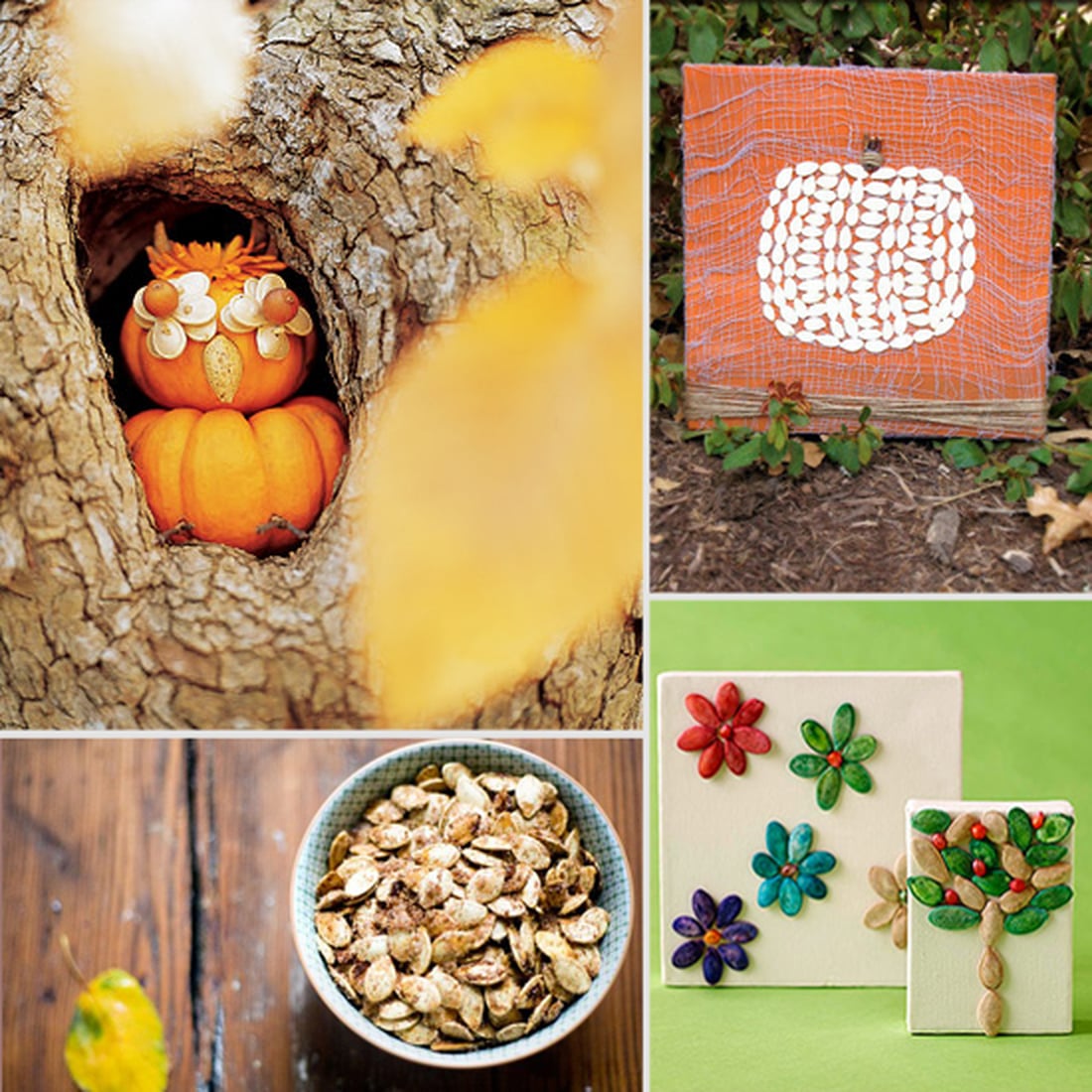 Ways to Use Pumpkin Seeds | PS Family